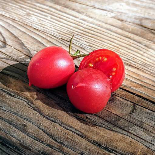 Shimofuri Tomato-Meraki Seeds