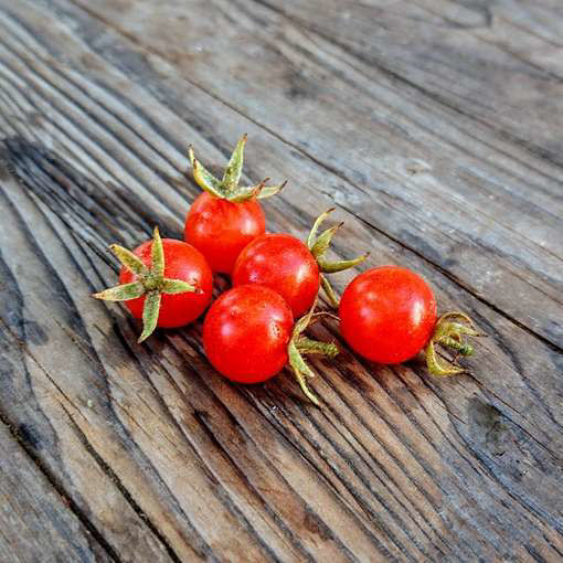 Red Robin Tomato-Meraki Seeds