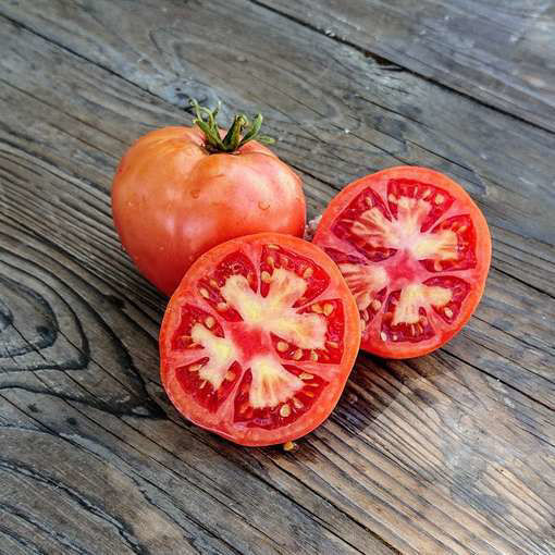Geisha Gejsha Tomato-Meraki Seeds