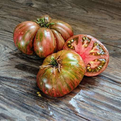 Tennessee Suited Dwarf Tomato Project-Meraki Seeds