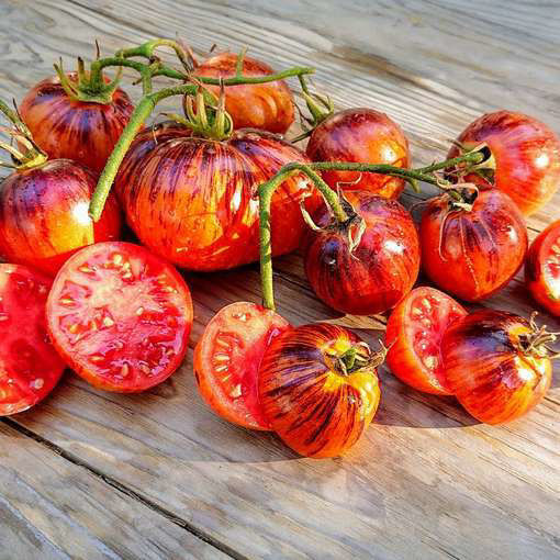 Gargamel Tomato-Meraki Seeds