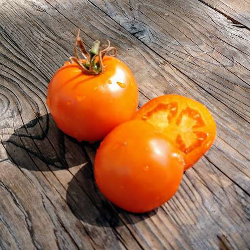 Moonglow Tomato-Meraki Seeds