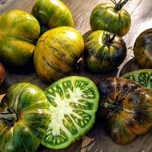 Xanadu Green Goddess Tomato-Meraki Seeds