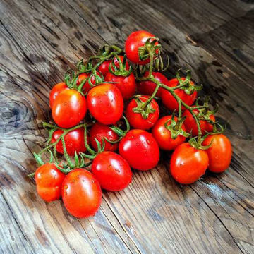Longkeeper-Meraki Seeds