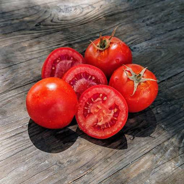 Longkeeper-Meraki Seeds