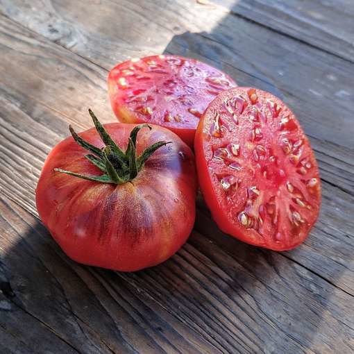 Indigo Blue Beauty Beefsteak Tomato-Meraki Seeds