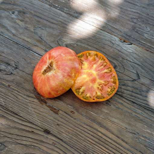 Blushing Bride Beefsteak Tomato-Meraki Seeds