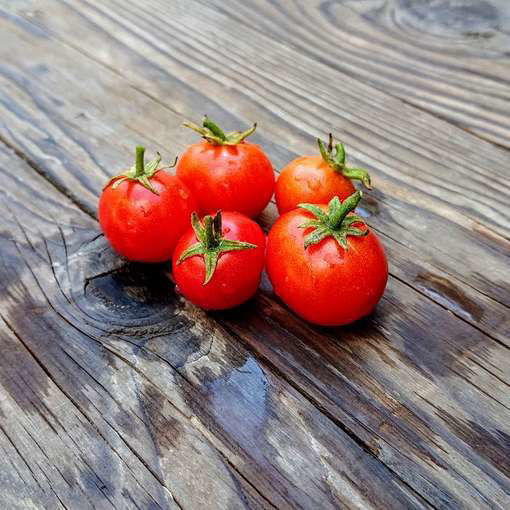 Red Robin Tomato-Meraki Seeds