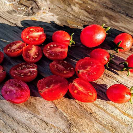 Curly Kaley Tomato-Meraki Seeds