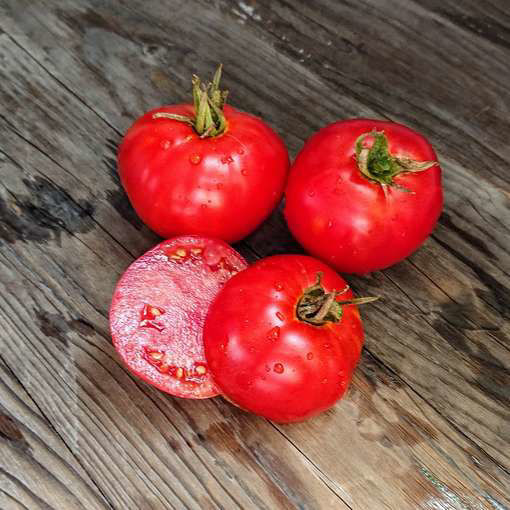 Legend Tomato-Meraki Seeds