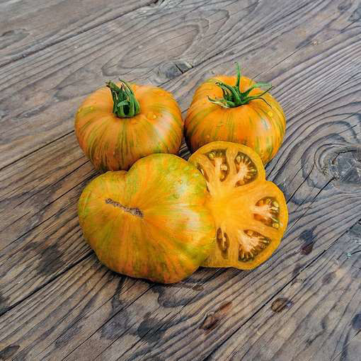 Babylons Glow Tomato-Meraki Seeds