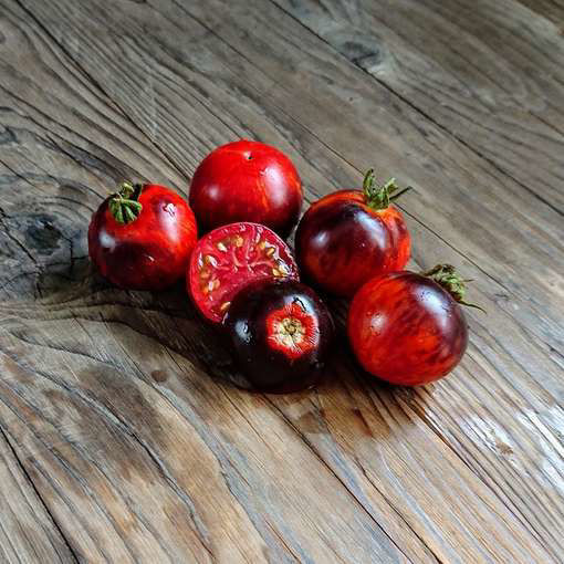 Antho Striped Dwarf Tomato-Meraki Seeds