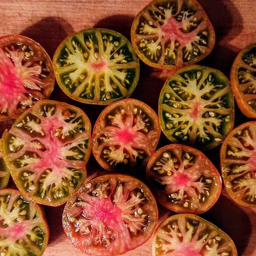 Copperhead Dwarf Tomato-Meraki Seeds