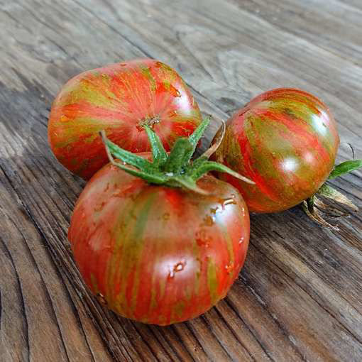 Pit Viper Tomato-Meraki Seeds