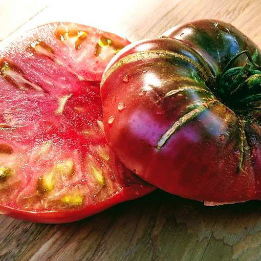 Chocolate Lightning Dwarf Tomato Project-Meraki Seeds