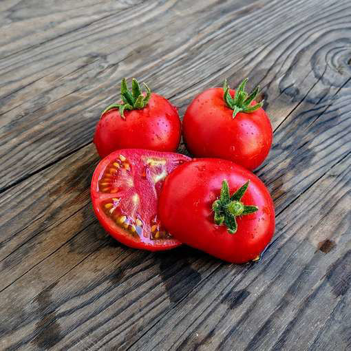 Japanese Dwarf Tomato-Meraki Seeds