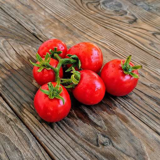 Japanese Dwarf Tomato-Meraki Seeds