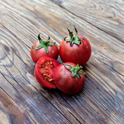 Mochas Cherry Dwarf Tomato-Meraki Seeds