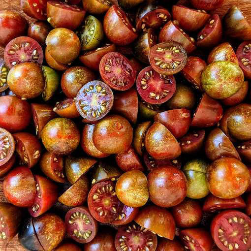 Blue Keyes Cherry Tomato-Meraki Seeds