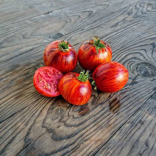 Gargamel Tomato-Meraki Seeds