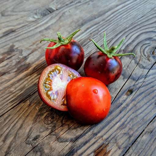 Cascade Village Blue Tomato-Meraki Seeds