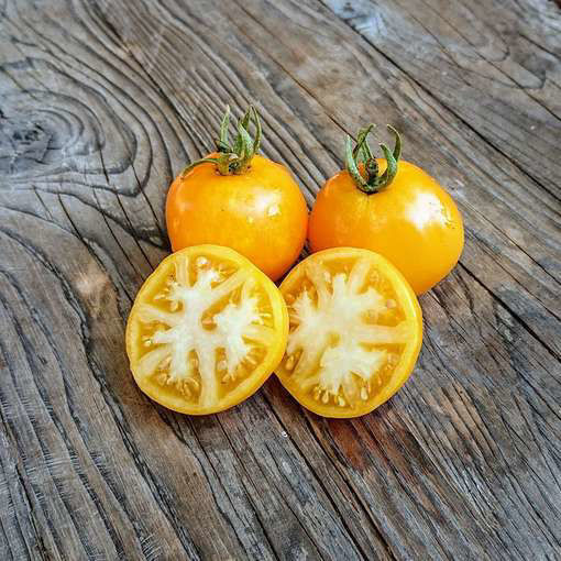 Mingold Tomato-Meraki Seeds