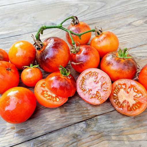 Blue Clementine Tomato-Meraki Seeds