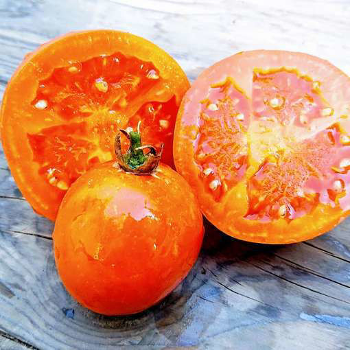 Moonglow Tomato-Meraki Seeds