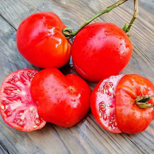 Krasnyi Krupnyi Beefsteak Tomato-Meraki Seeds