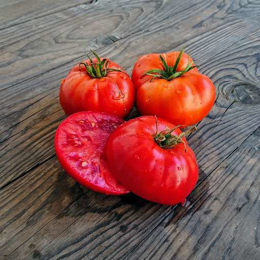 Gregori's Altai Beefsteak Tomato-Meraki Seeds