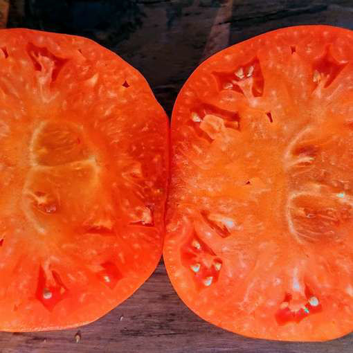 Liskin Nos Beefsteak Tomato-Meraki Seeds