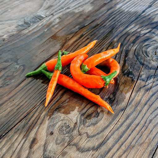 Lanterna de Foc Chili Pepper-Meraki Seeds