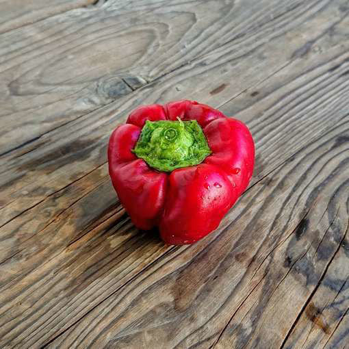Zulu Sweet Pepper-Meraki Seeds