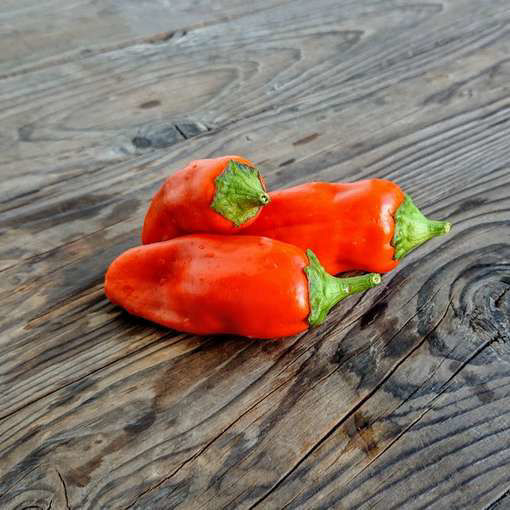 Pippins Golden Honey Sweet Pepper-Meraki Seeds