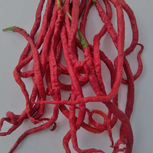 Thunder Mountain Longhorn Chili Pepper-Meraki Seeds