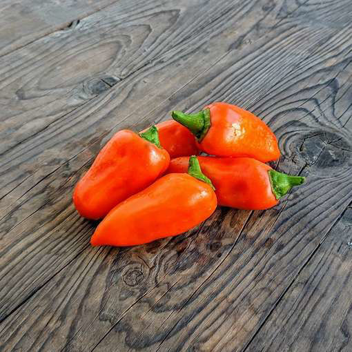 Tangerine Dream Sweet Pepper-Meraki Seeds