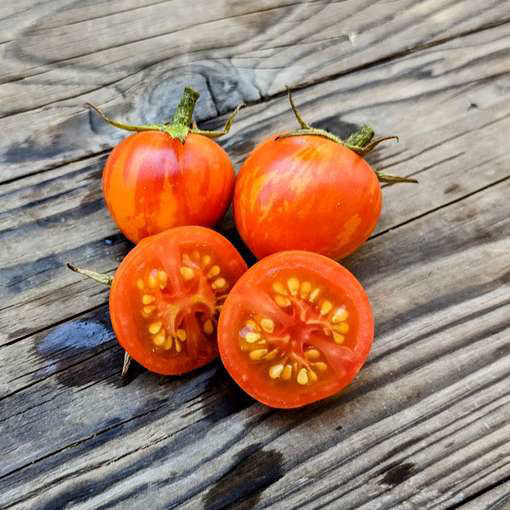 Ruby Slippers Dwarf Tomato-Meraki Seeds