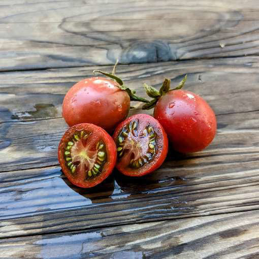Ace’s High Cherry Tomato-Meraki Seeds