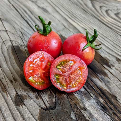 Karma Pink Tomato-Meraki Seeds