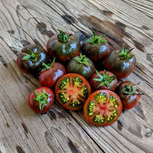 Karma Purple Multiflora Tomato-Meraki Seeds