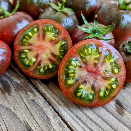 Karma Purple Multiflora Tomato-Meraki Seeds