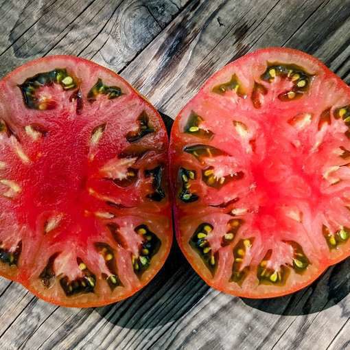 Cowboy Beefsteak Tomato-Meraki Seeds