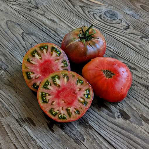 One Trick Pony Beefsteak Tomato-Meraki Seeds