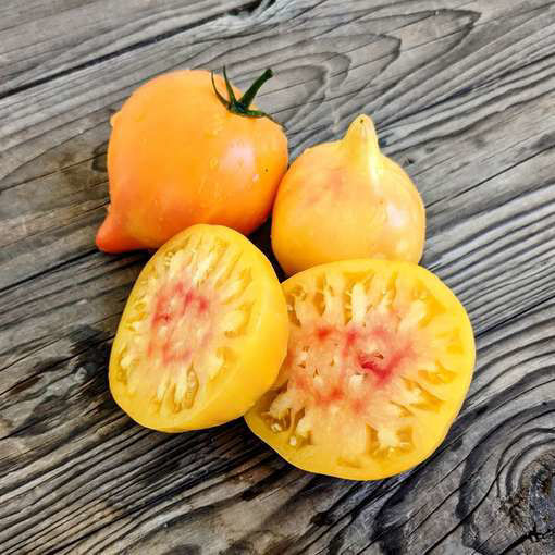 Midnight Sun Beefsteak Tomato-Meraki Seeds
