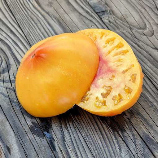 Midnight Sun Beefsteak Tomato-Meraki Seeds