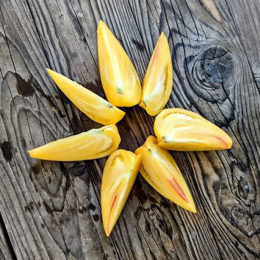 Midnight Sun Beefsteak Tomato-Meraki Seeds