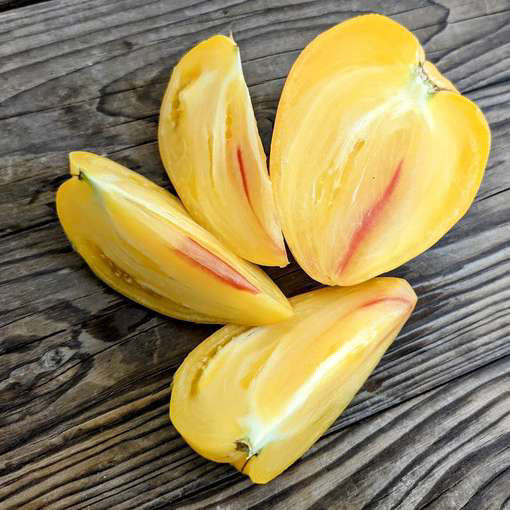 Midnight Sun Beefsteak Tomato-Meraki Seeds