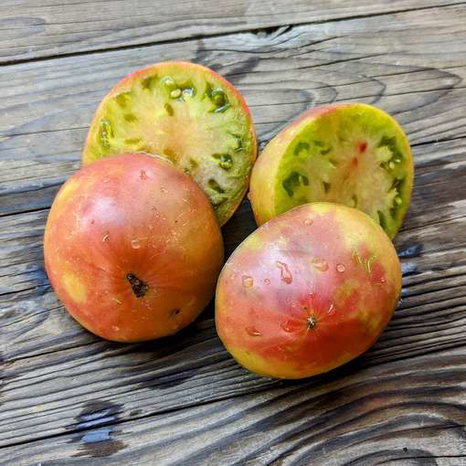 True Colors Beefsteak Tomato-Meraki Seeds