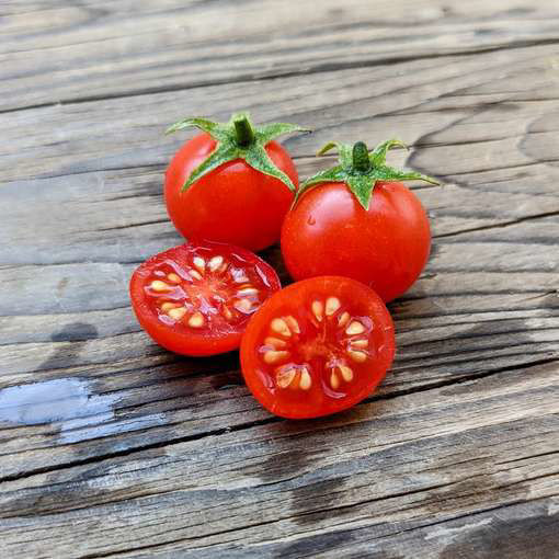Bonsai Tomato-Meraki Seeds
