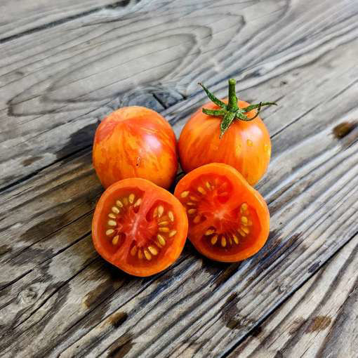 Bonte Tigret Micro Dwarf Tomato-Meraki Seeds